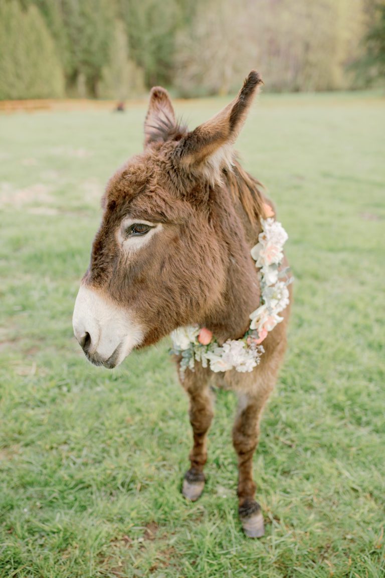 Spring Farm Wedding | Whitewater Ranch | Eugene, Oregon | amongtheoaks.co